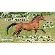 Unique products for horse lovers, farriers and other equine professionals